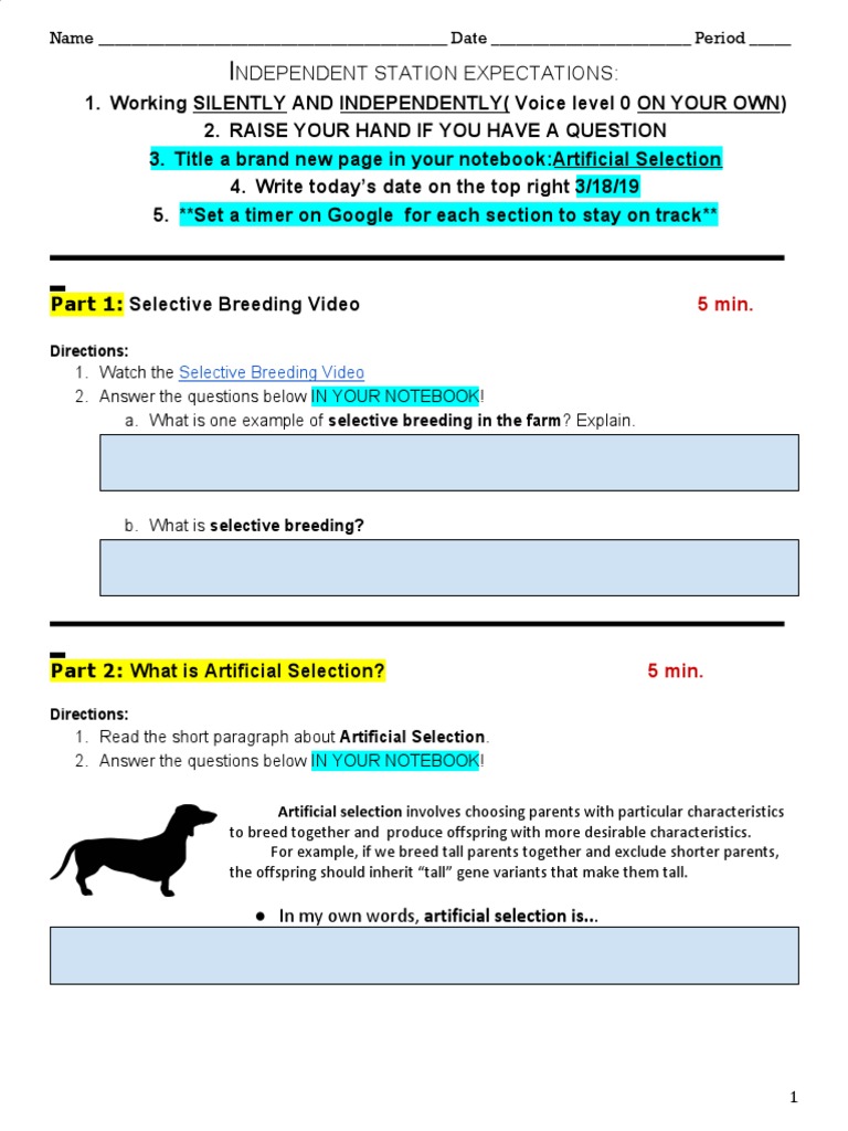 Independent Artificial Selection X-Men Activity | PDF | Natural ...
