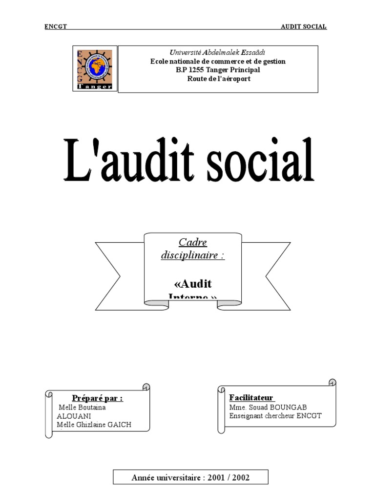 Audit Social | PDF