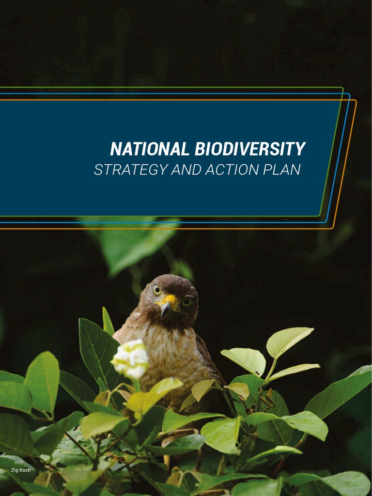 National Biodiversity Strategy and Action Plan: Brazil's Framework for ...