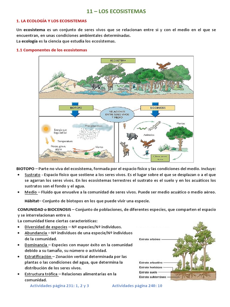 TEMA 11 - Los Ecosistemas | PDF | Ecosistema | Suelo