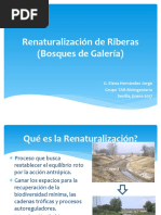 Definicion Vegetación Riparia | PDF | Zona ribereña | Inundar