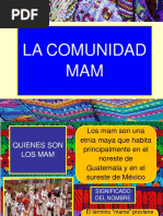 Características de La Lengua MAM | PDF | Mesoamérica | Chiapas