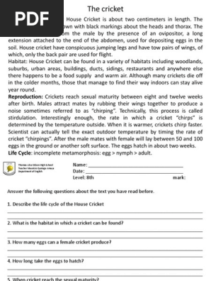 Literacy Full Stops And Question Marks Worksheet Primaryleapcouk