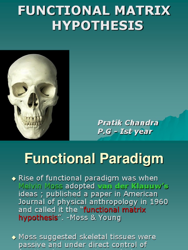 The Functional Matrix Hypothesis | PDF | Skeleton | Skull