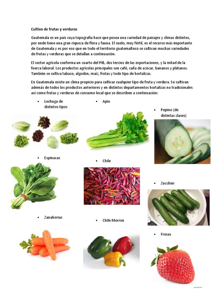 Ejercicio No.3 Model | PDF | Psicología experimental | Guatemala
