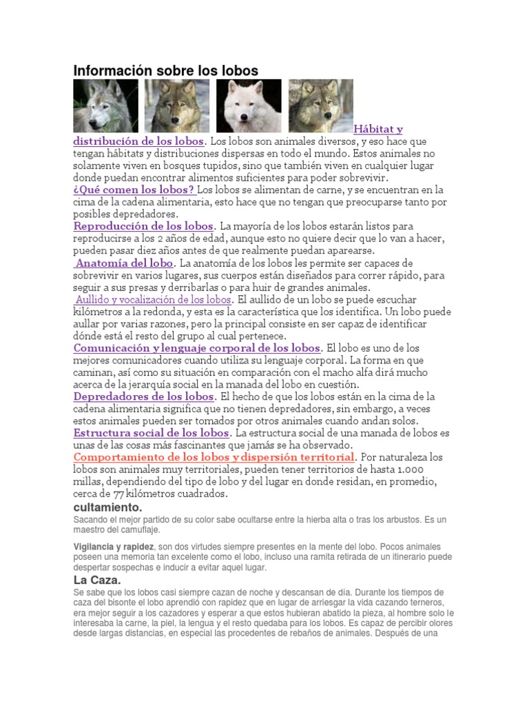 Información Sobre Los Lobos | PDF | Perros | Caza