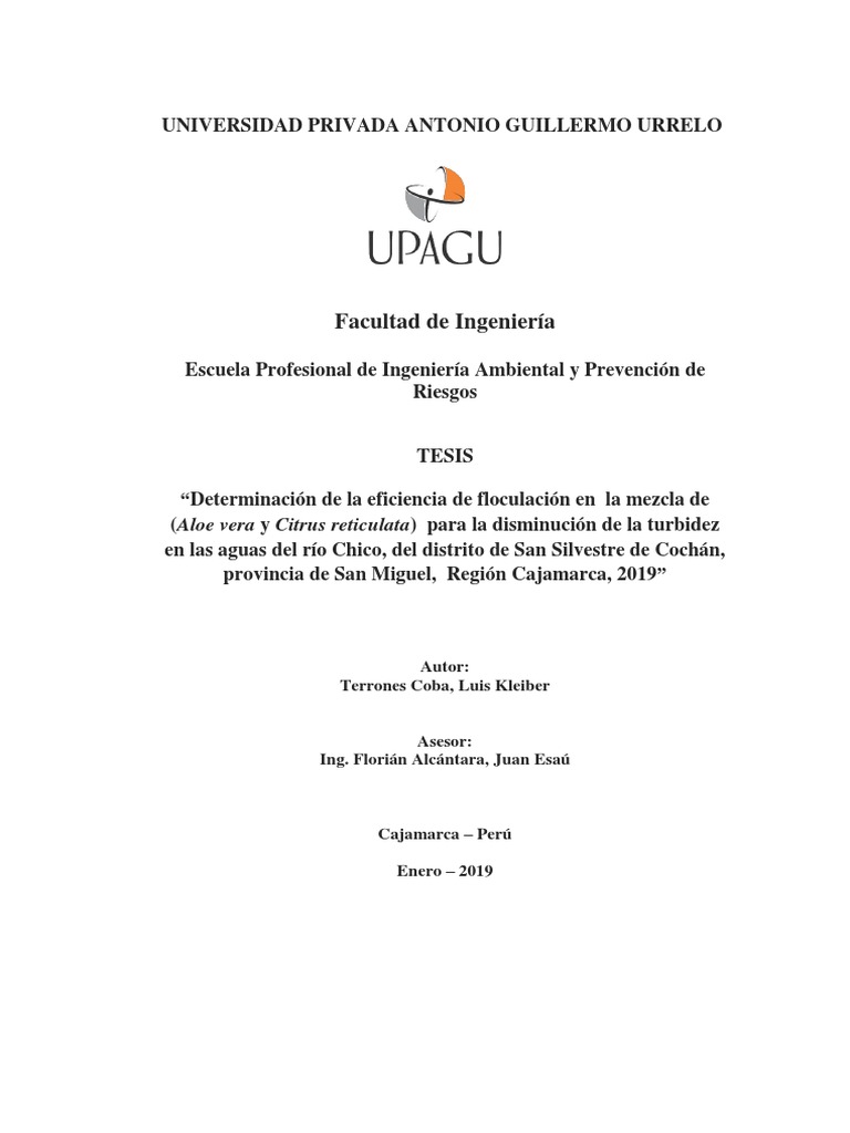 TESIS CORREGIDA 2019 Tesis Upagu Luis Terrones | PDF | La contaminación ...