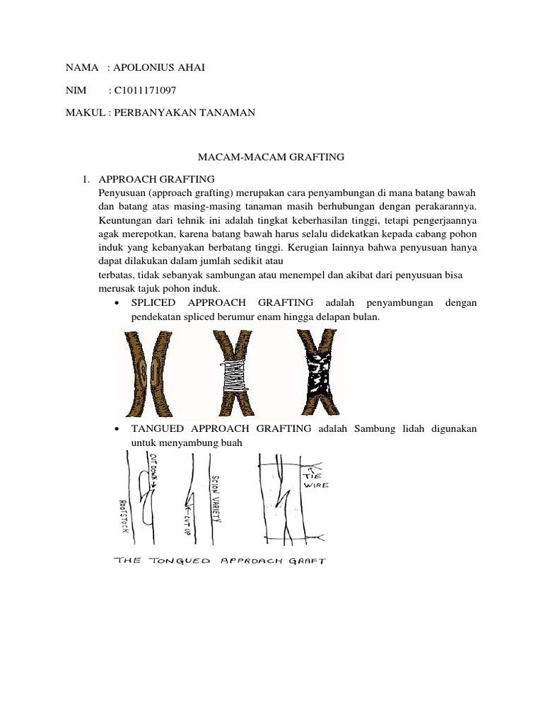Macam-Macam Teknik Grafting Tanaman | PDF