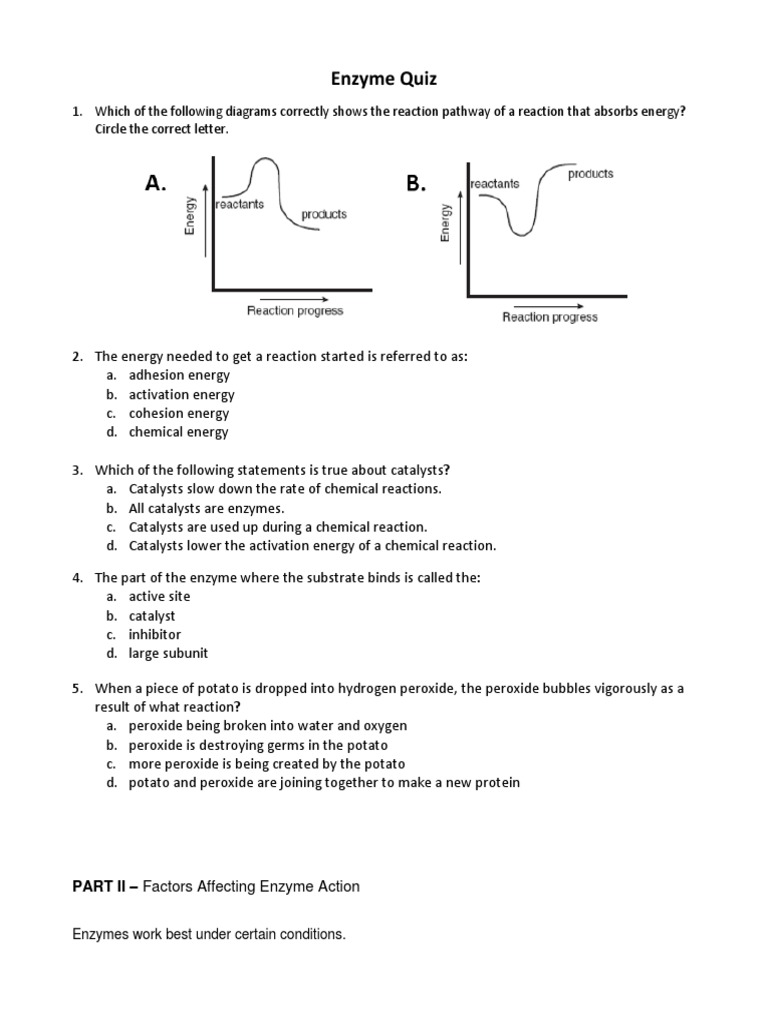Unit Test 2 - Enzyme | PDF | Enzyme | Structural Biology