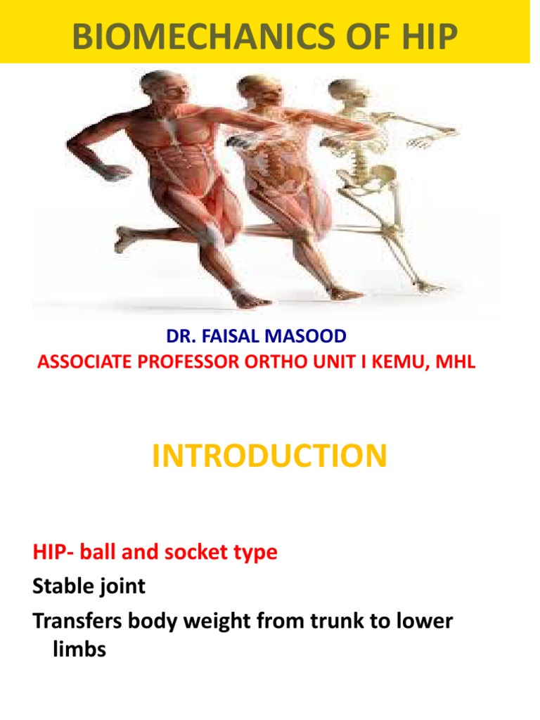 Hip Biomechanics Faisal SB | PDF | Hip | Human Leg