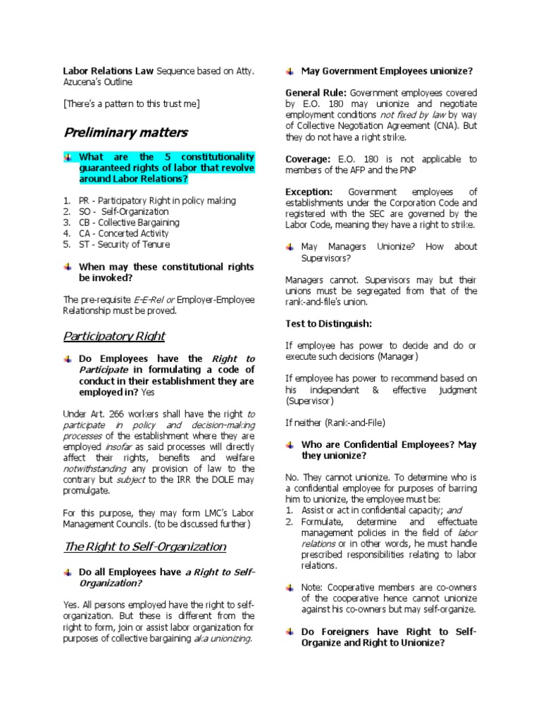 Labor Rights and Self-Organization Guide | PDF | Strike Action ...