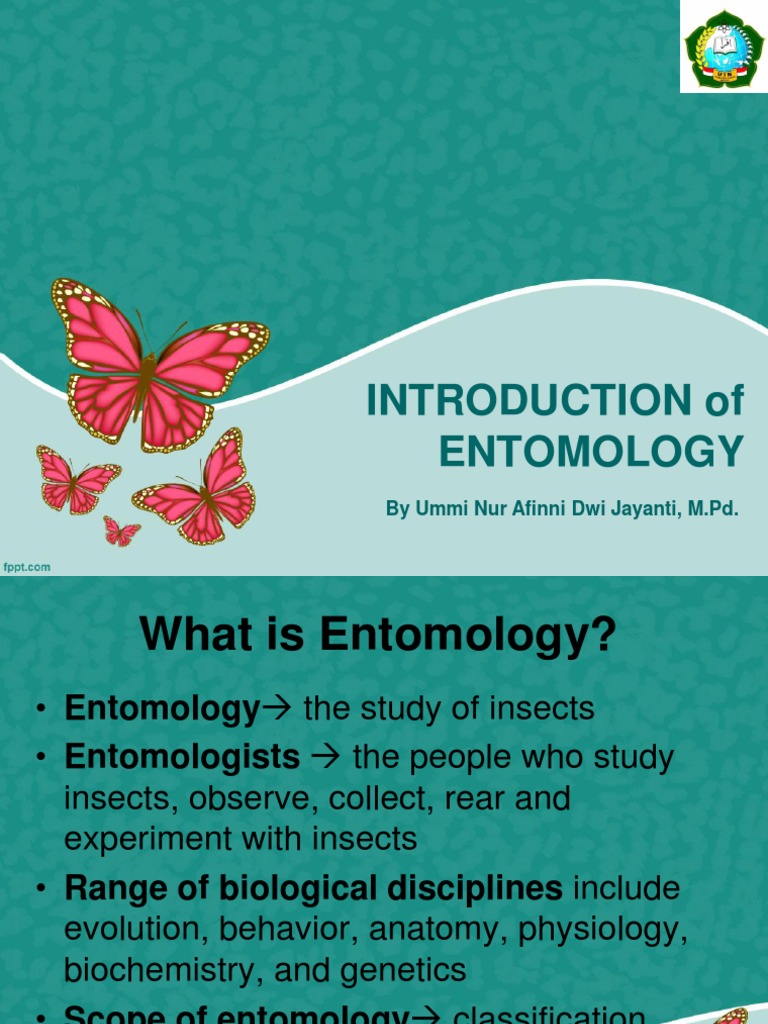 Entomology Introduction | PDF | Insects | Ecology