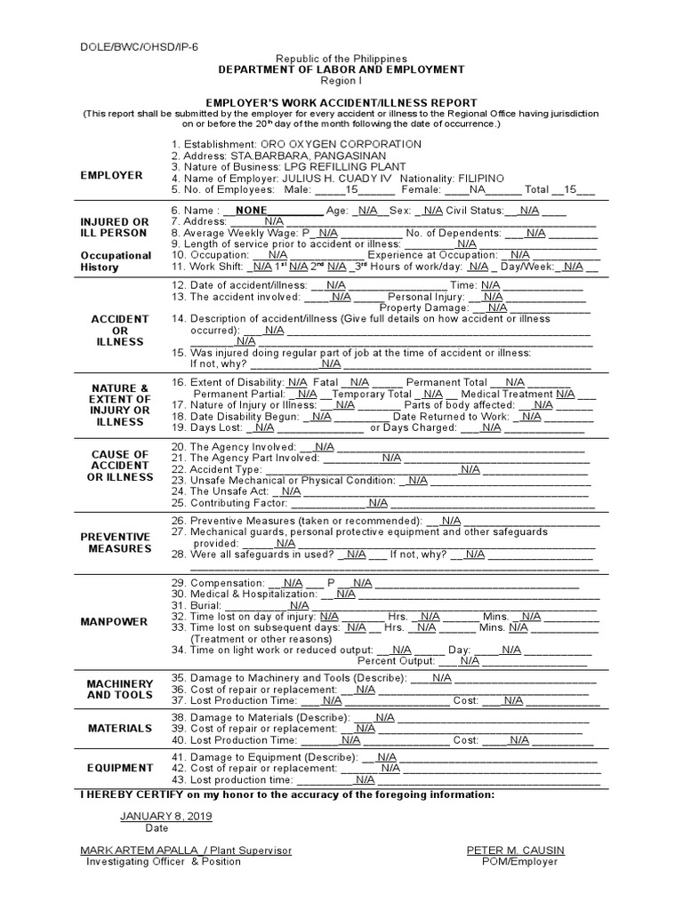 SAMPLE Filled Up - DOLE Employer's Work Accident Report | PDF ...