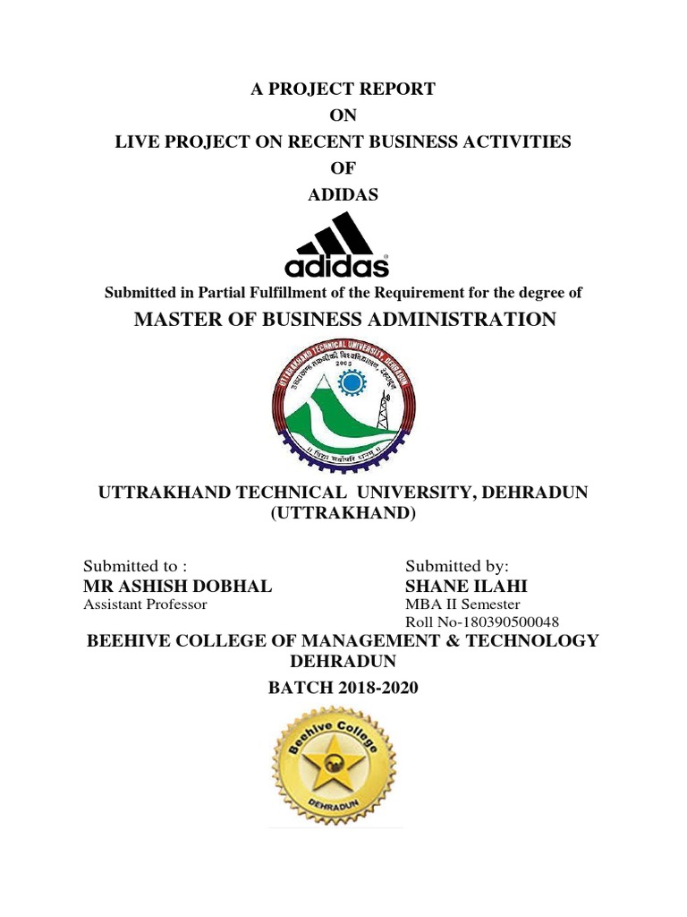 Adidas Business Activities Report | PDF | Business