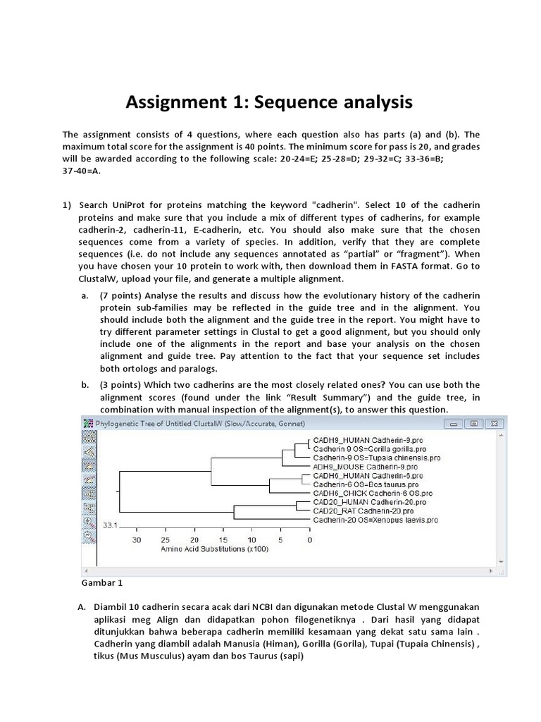 Uasbioinfo Wisnu | PDF | Sequence Alignment | Blast