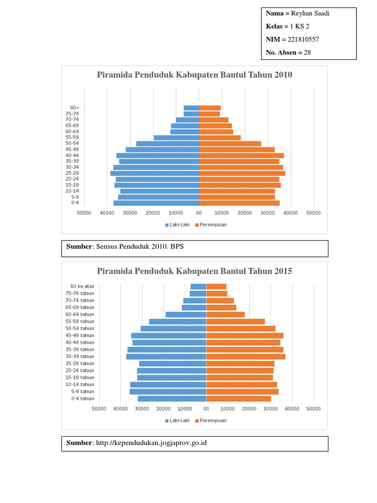 Analisis Perkembangan Data Piramida Penduduk | PDF