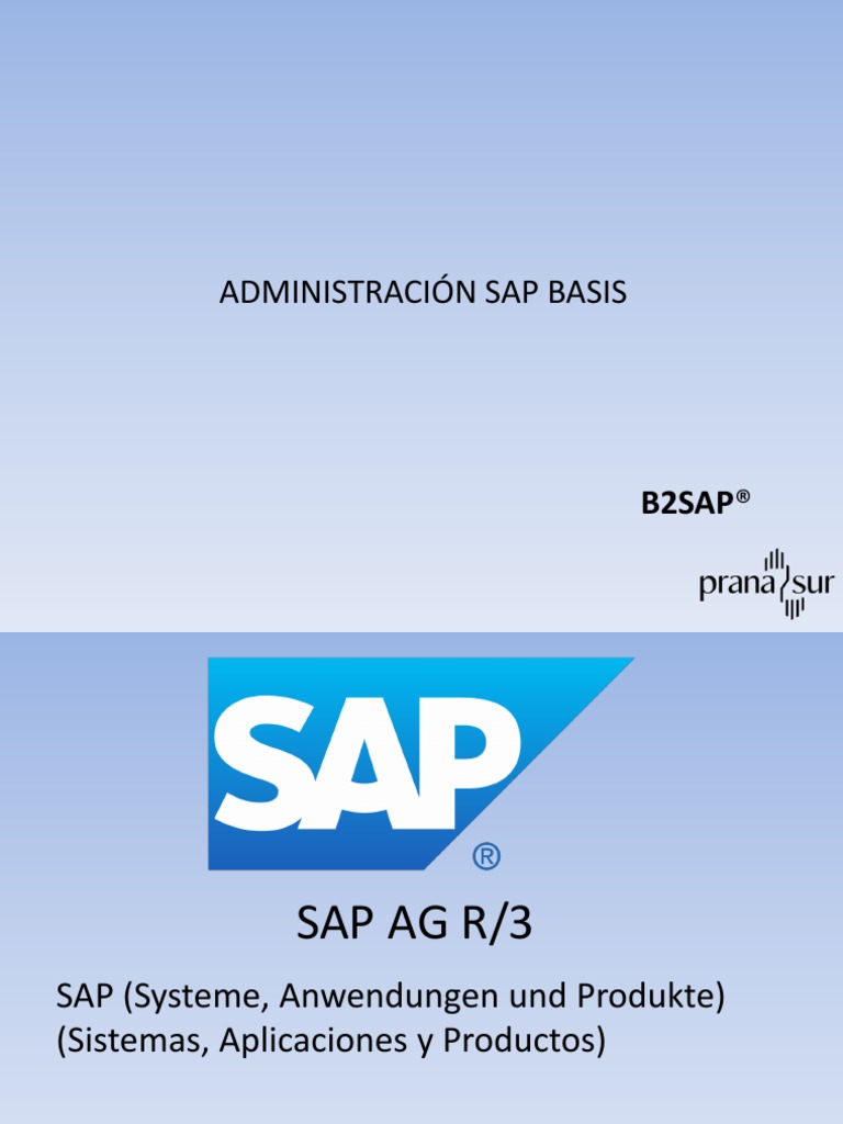 Curso SAP PDF | PDF | Sistema operativo | Sap Se