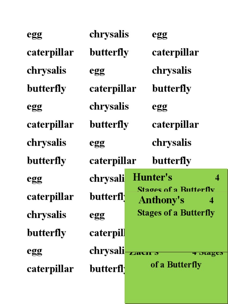Four Stages of a Butterfly | PDF