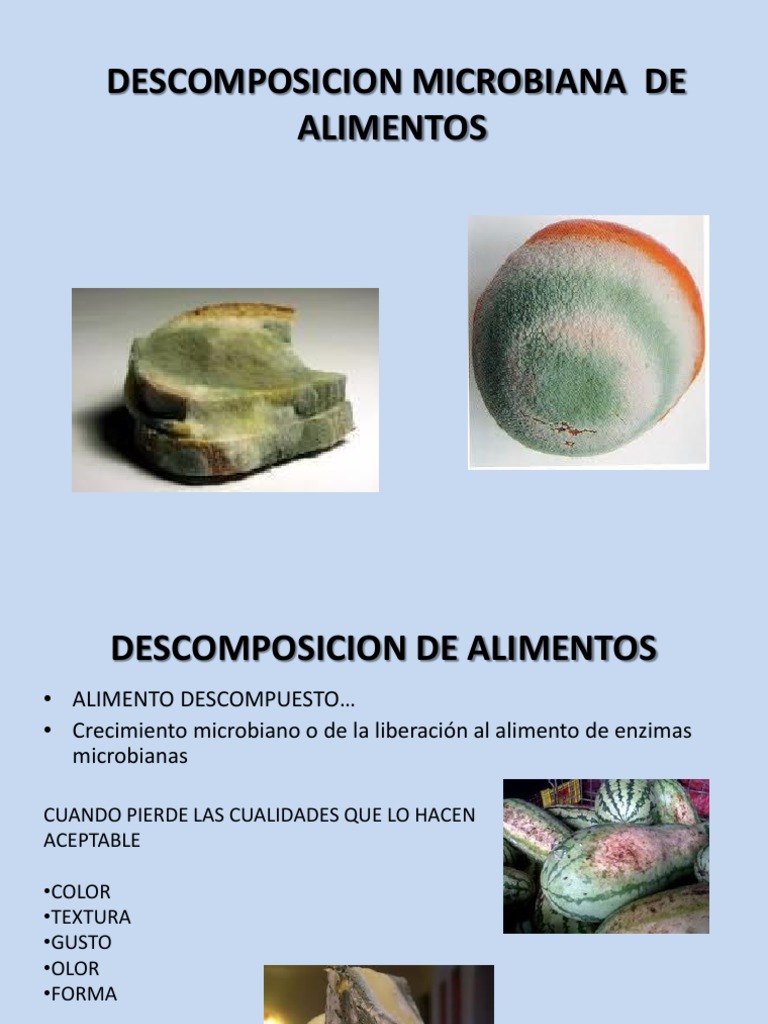 Descomposicion de Alimentos (1) | Descomposición | Las bacterias ...