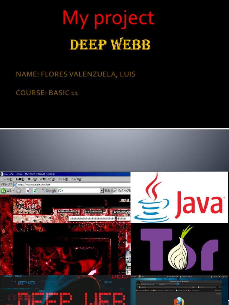 Project 11 | PDF