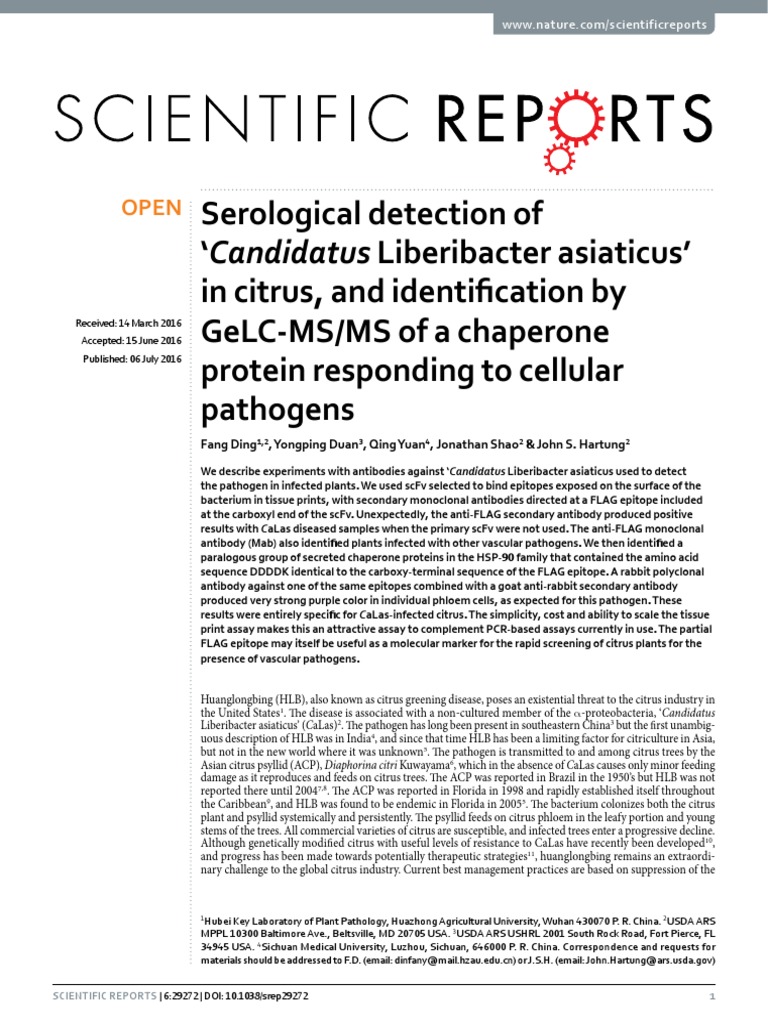 Ca Las | PDF | Polyclonal B Cell Response | Antibody