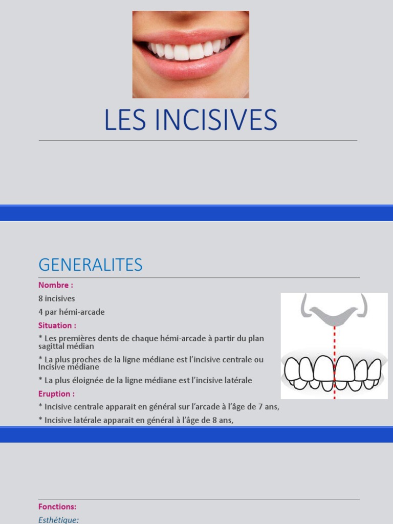 Les Incisives | PDF | Anatomie dentaire | Bouche