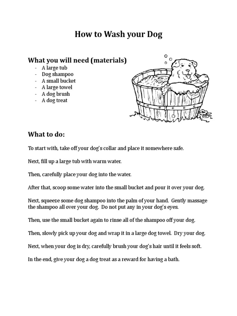 How To Wash Your Dog: What You Will Need (Materials) | PDF