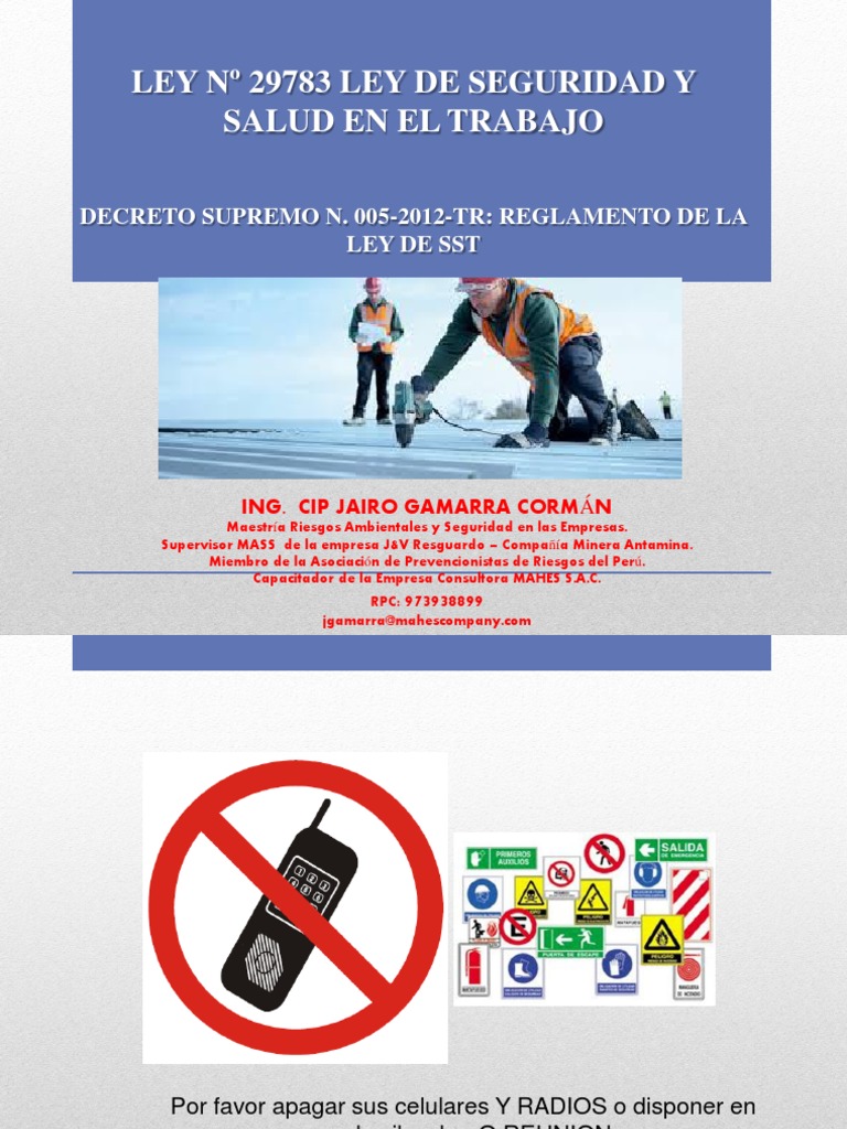 Ley 29783 - DS.005-2012-TR PDF | PDF | Castigos | Derecho laboral