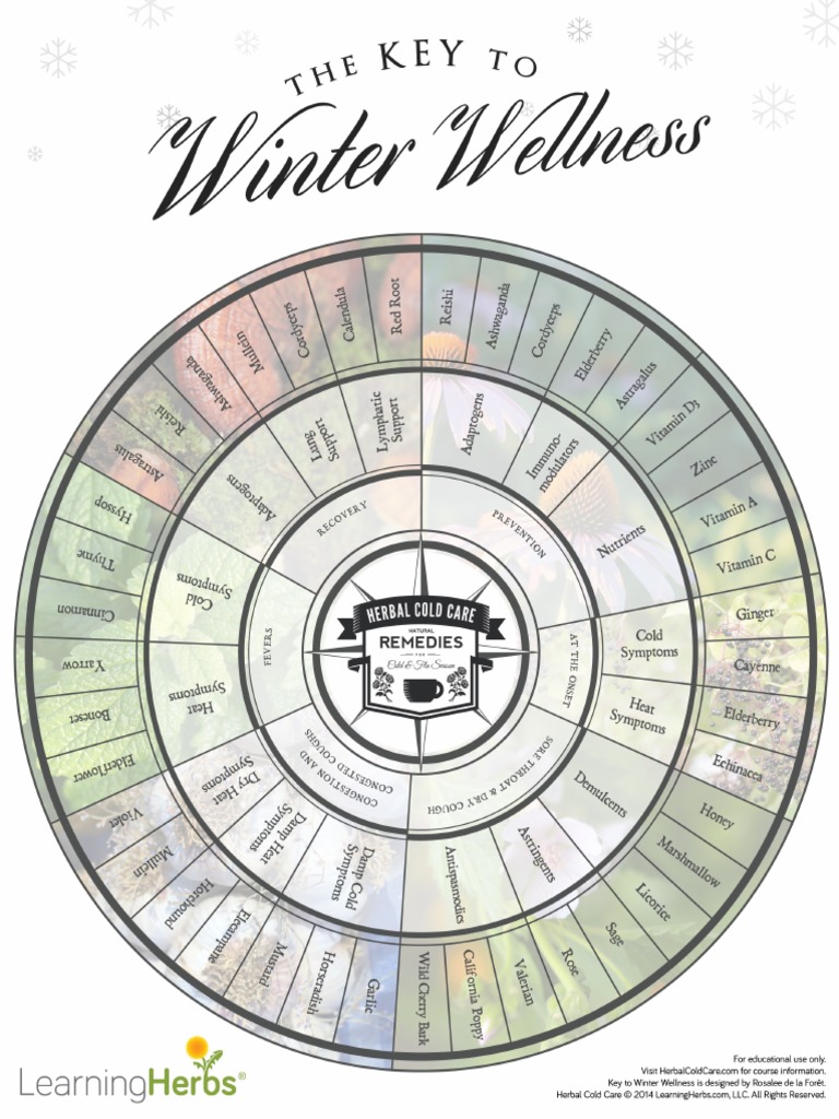 Key To Winter Wellness PDF | PDF