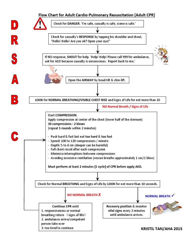 10 CPR Guideline AHA 2015 | PDF