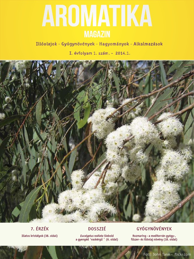EPA02561 Aromatika 2014 01 | PDF