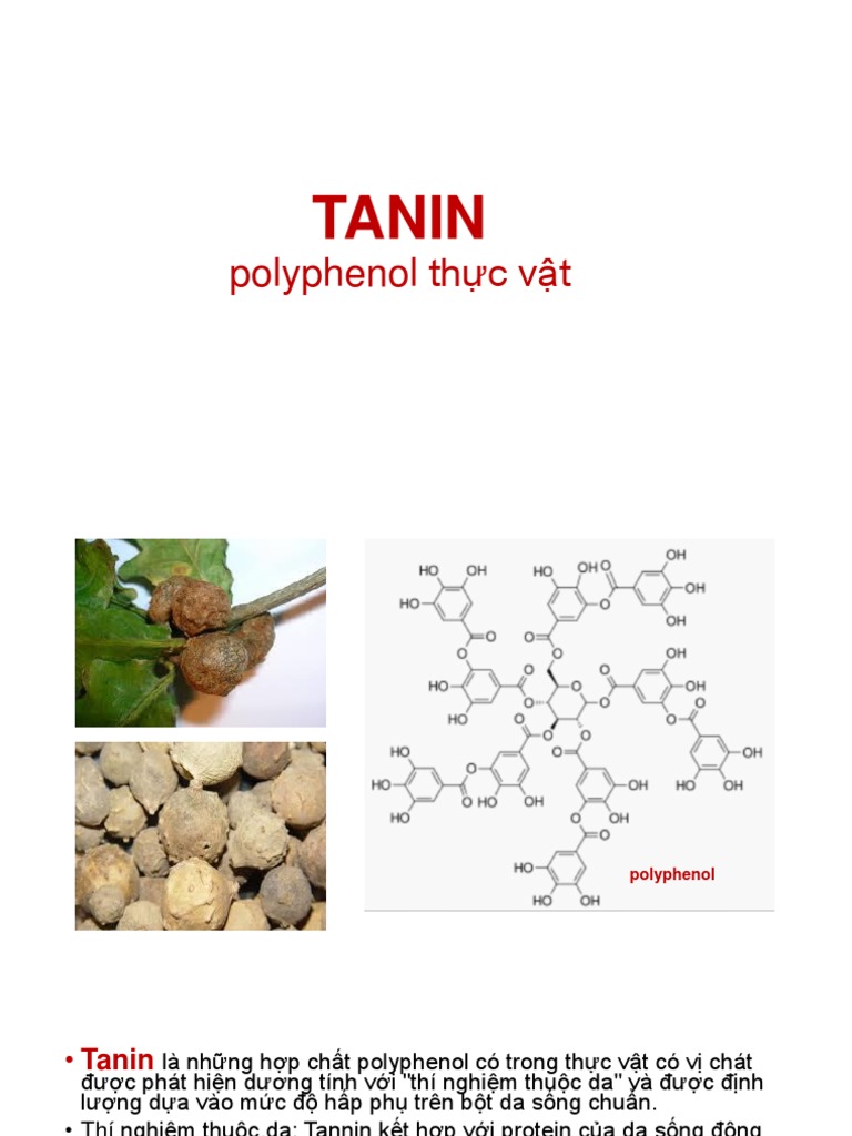 TANNIN | PDF