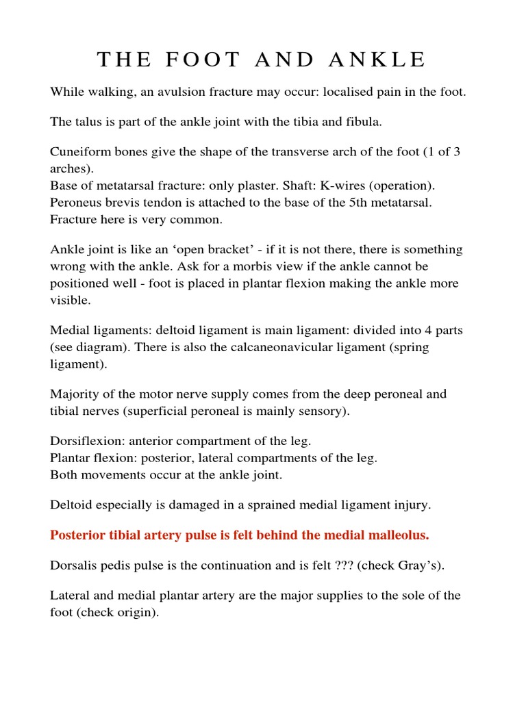 The Foot and Ankle: Posterior Tibial Artery Pulse Is Felt Behind The ...