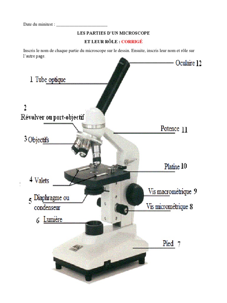 Les Parties Du Microscope Composé Et Leurs Fonctions