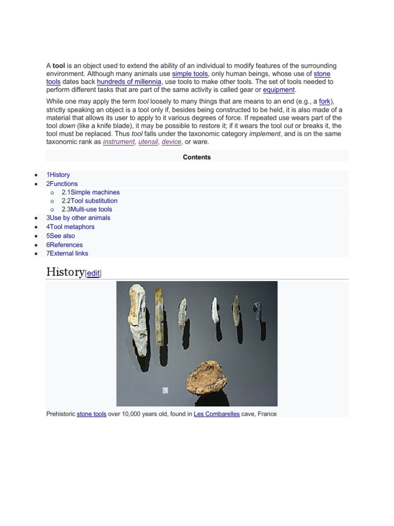 History: Simple Tools Stone Tools Hundreds of Millennia Equipment Fork ...