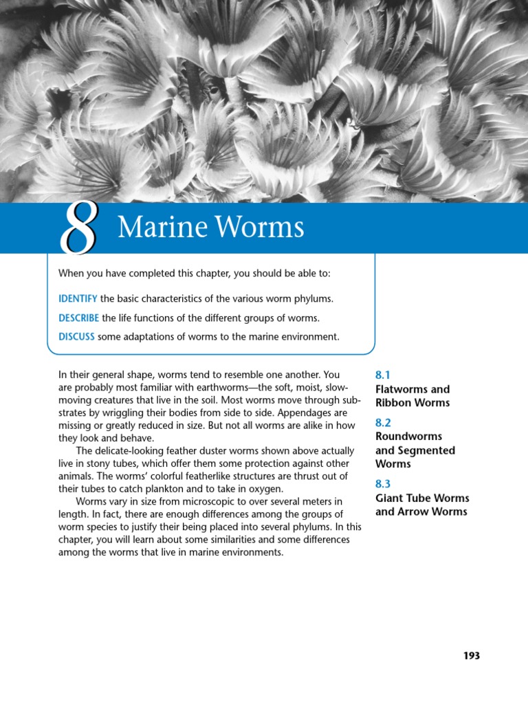 Marine Science - Marine Worms | PDF | Nematode | Organisms