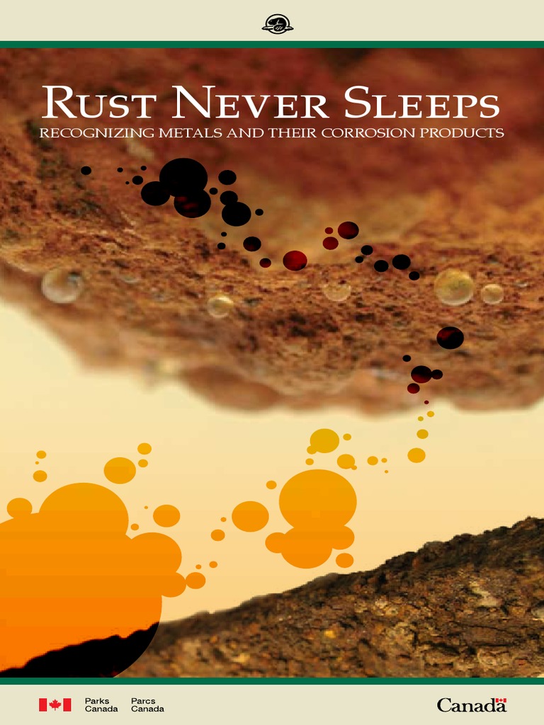 Rust Never Sleeps | PDF | Bronze | Corrosion
