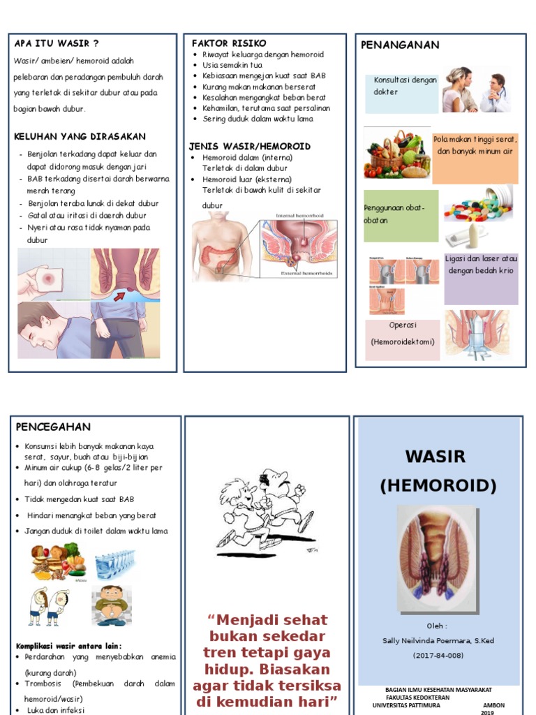 Leaflet Hemoroid/wasir | PDF