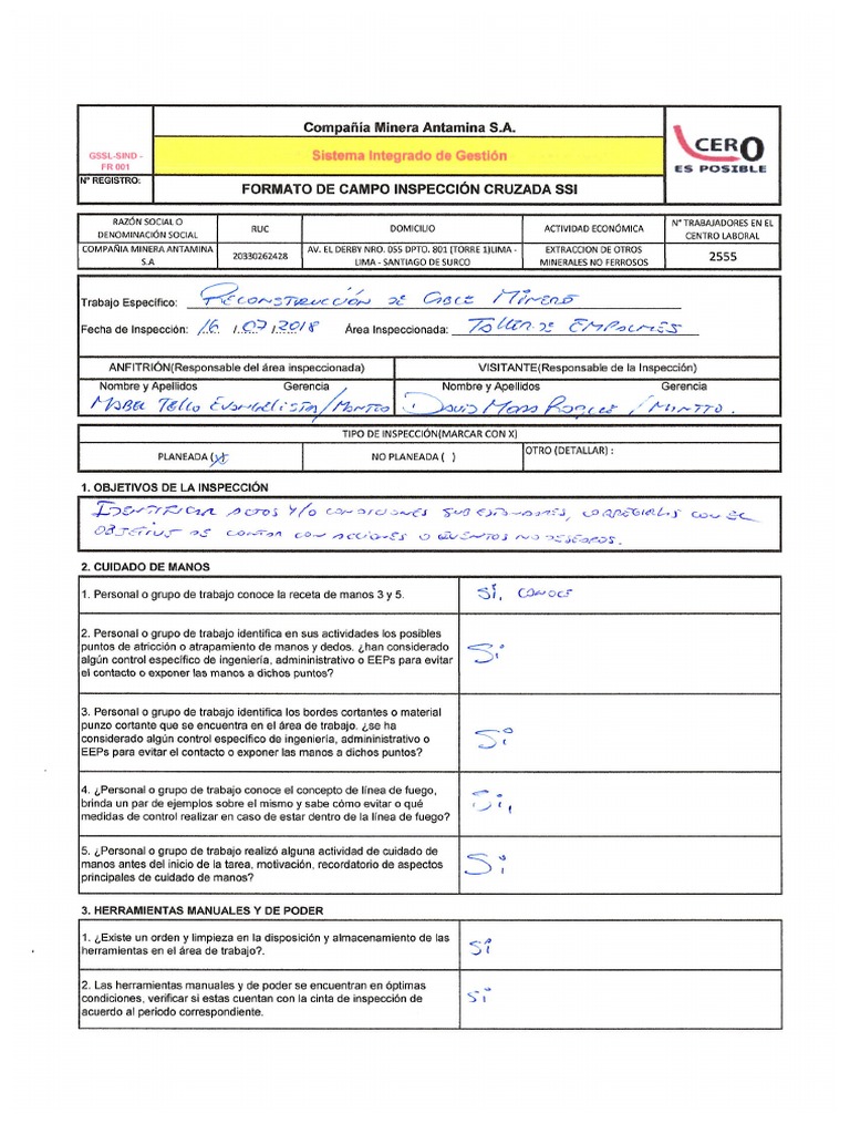 Inspeccion Cruzada SSI | PDF