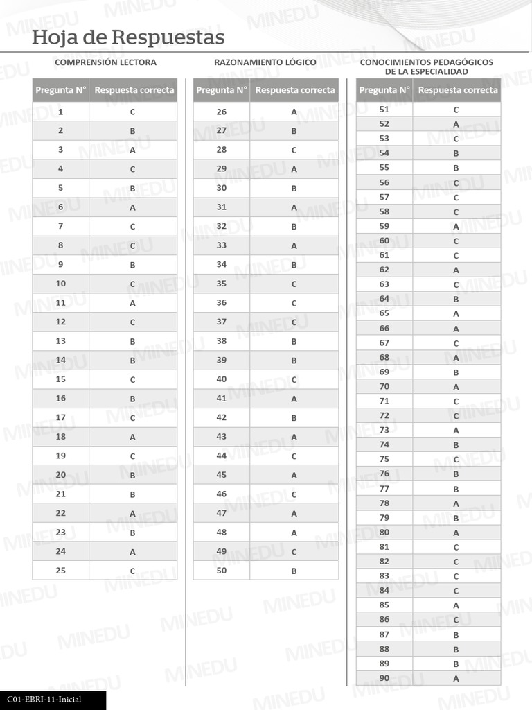 C01 EBRI 11 Inicial | PDF | Ajedrez | Juegos y actividades