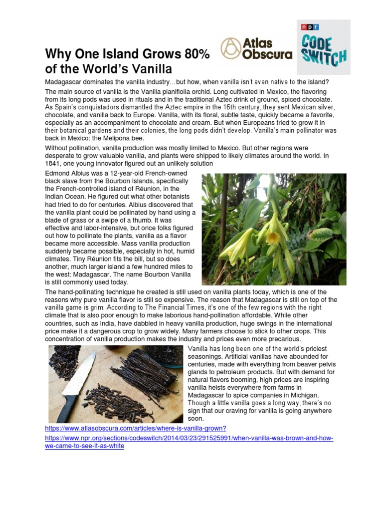 Madagascar: The Heart of Vanilla Farming | PDF | Vanilla | Agriculture