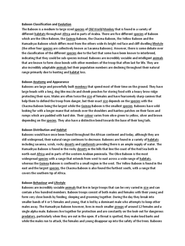 A Comprehensive Overview of Baboon Classification, Evolution, Anatomy ...