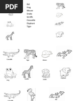 Squash Squeeze | PDF