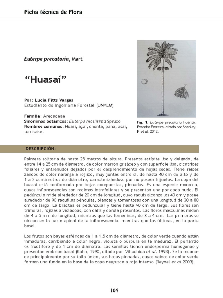 El Huasai | PDF | Plantas | Horticultura y jardinería
