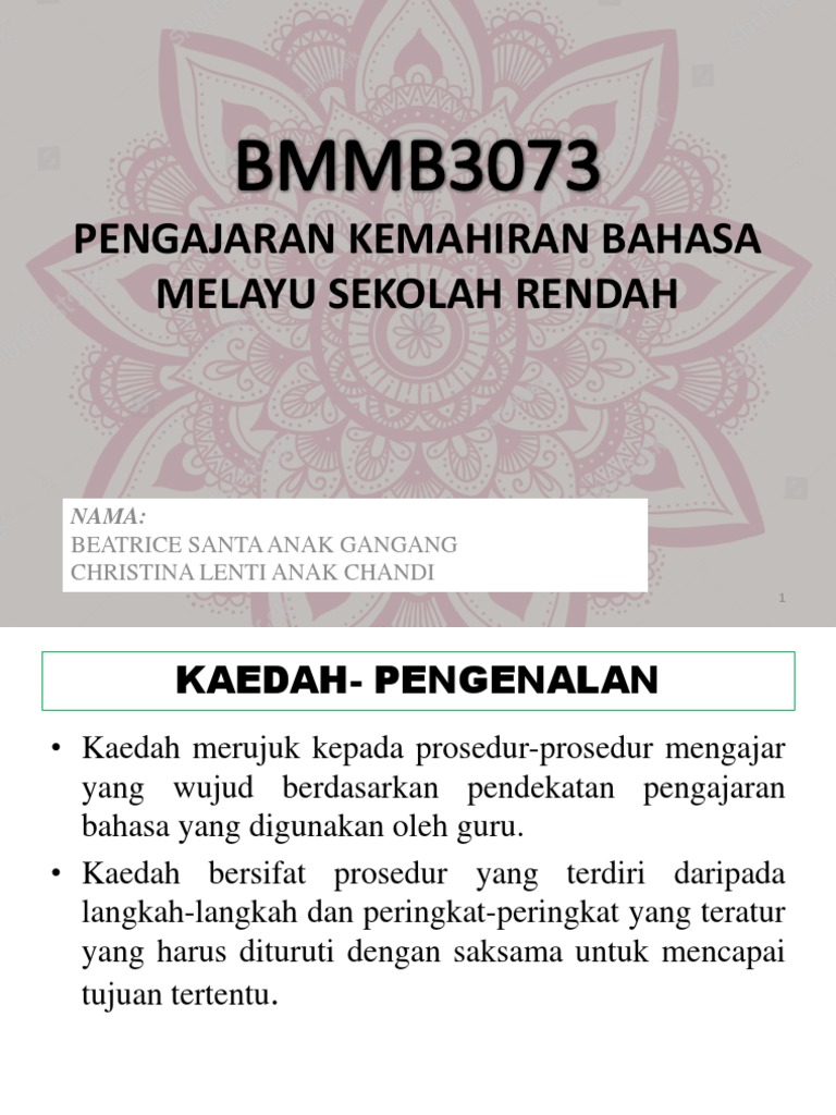BMMB 3073 | PDF