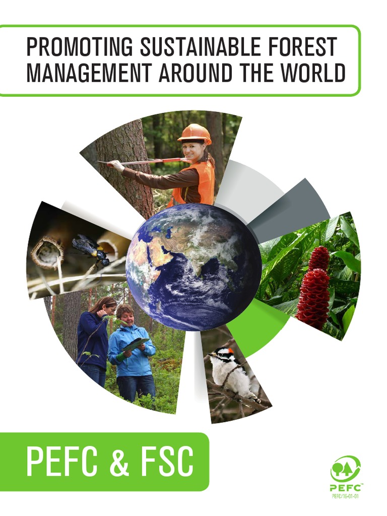 PEFC Promoting Sustainable Forest Management Globally WEB PDF | PDF | Forest Stewardship Council ...