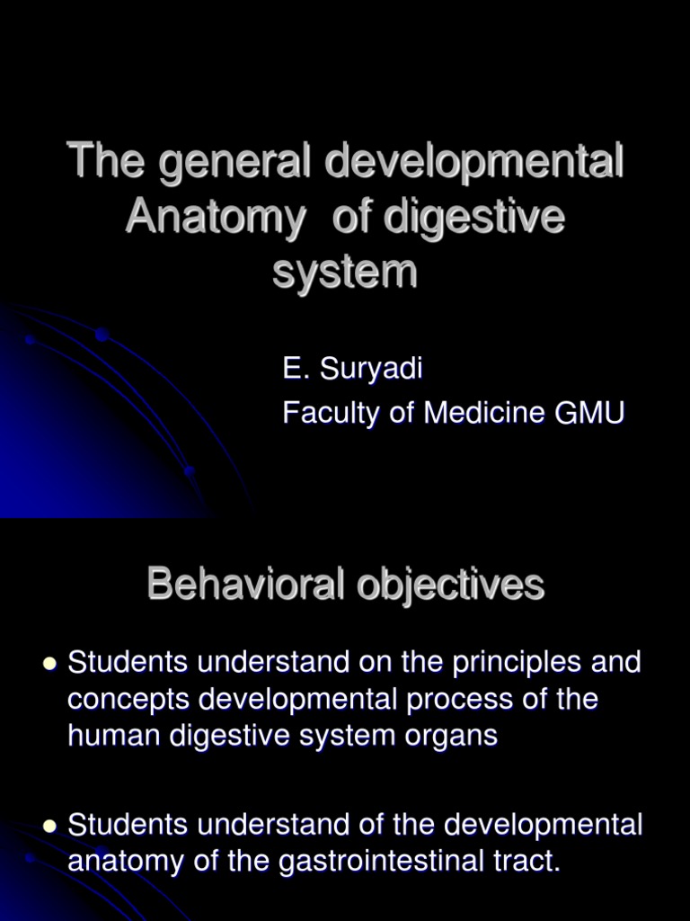 Development of the Digestive System | PDF | Gastrointestinal Tract ...