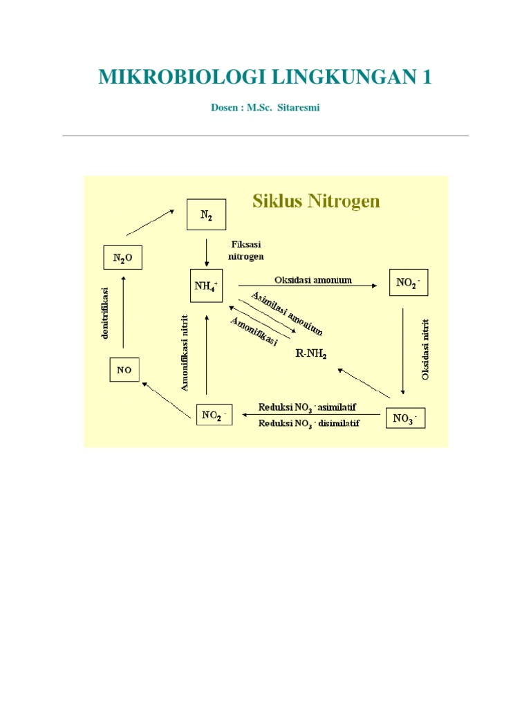Mikrobiologi Lingkungan 1 | PDF