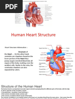 Structure and Function of Human Heart | PDF