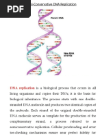Nucleic Acid Project | PDF | Nucleic Acids | Dna